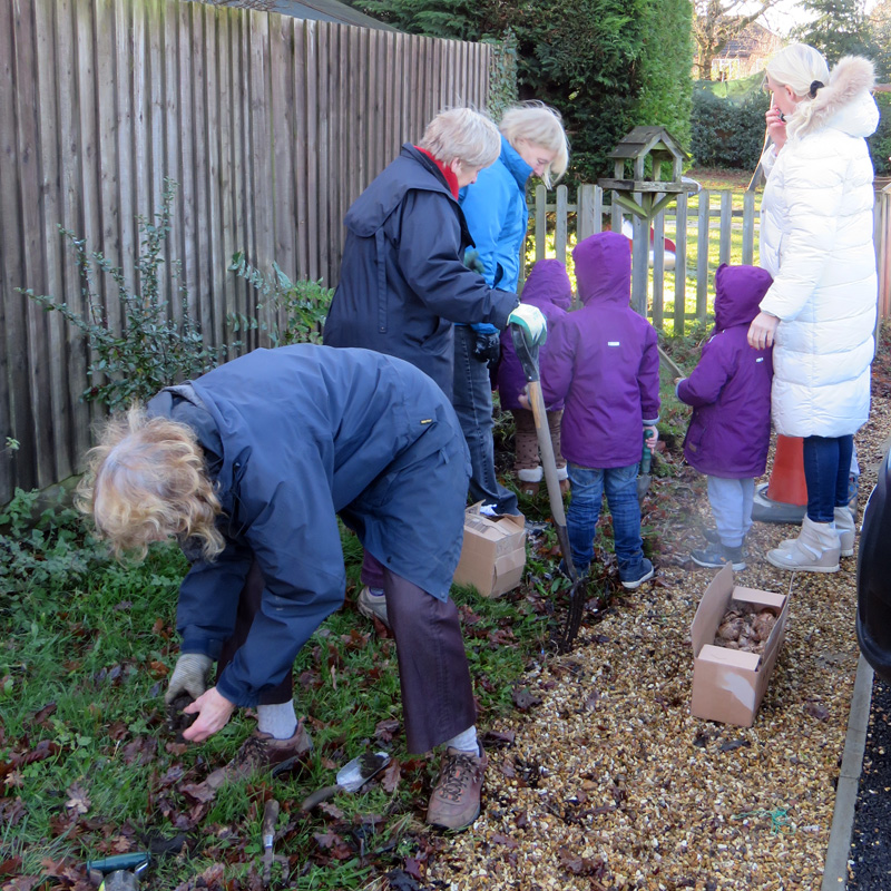 100 Birthday Bulbs – Brockenhurst Women's Institute