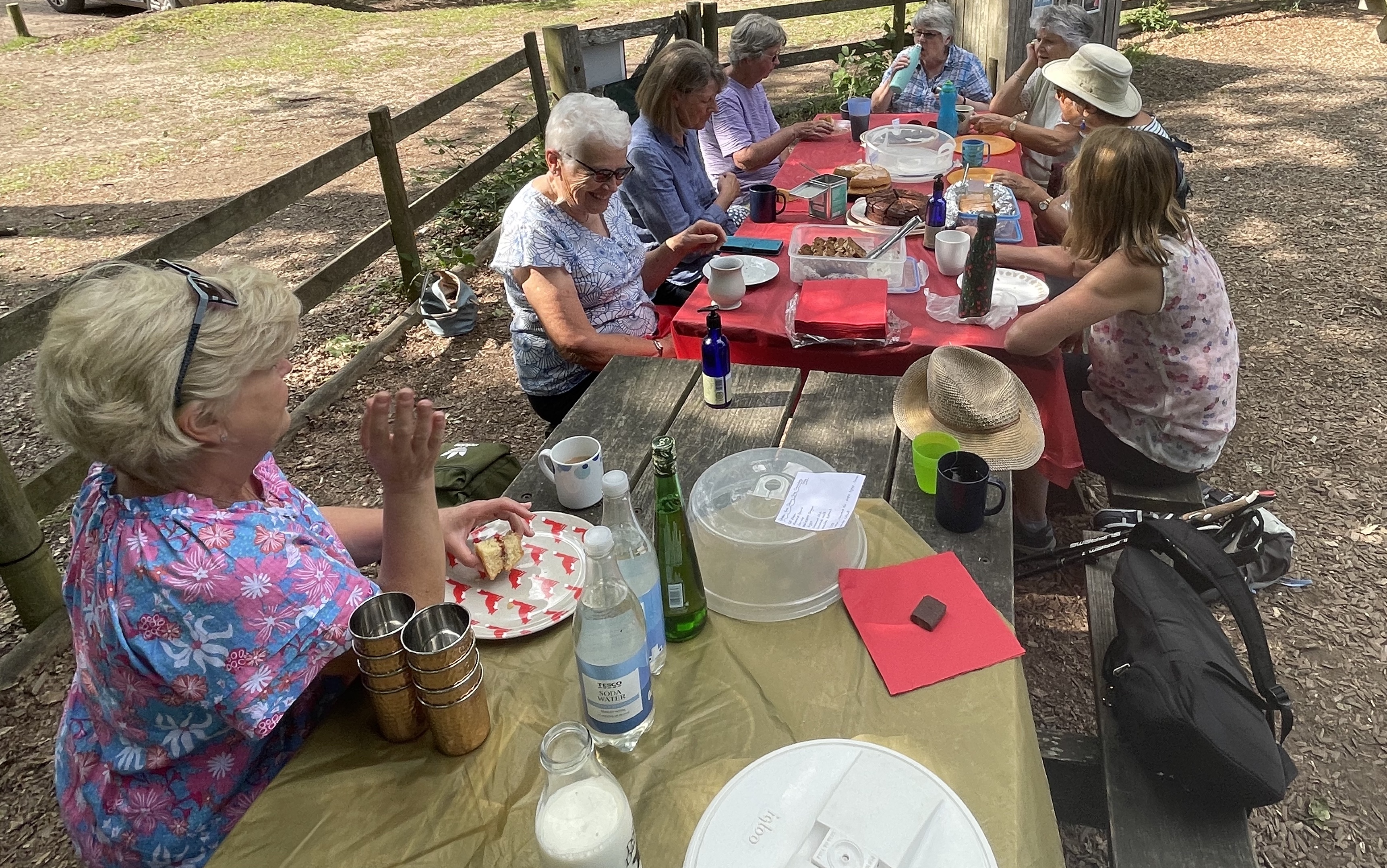 Walk and Tea in Aid of ACWW – Brockenhurst Women's Institute